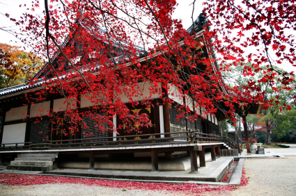 fall-temple | Institute of Buddhist Studies
